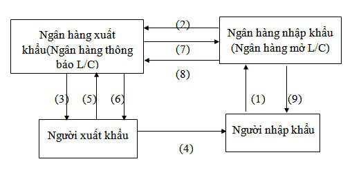 Phân biệt 14 loại thư tín dụng LC (Letter of Credit) thường dùng