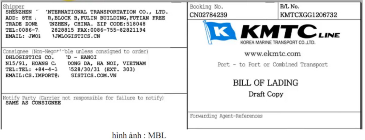 Cách phân biệt vận đơn HBL và MBL trong xuất nhập khẩu
