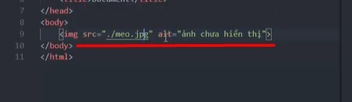 Hướng dẫn cách dùng thẻ IMG hiển thị hình ảnh trong HTML
