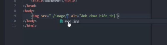 Hướng dẫn cách dùng thẻ IMG hiển thị hình ảnh trong HTML