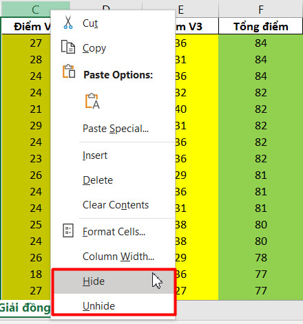 Hướng dẫn cách copy trong Excel không chứa dòng và cột ẩn