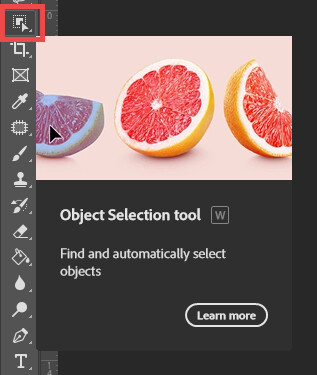 Hướng dẫn sử dụng công cụ cắt ảnh Object Selection Tool trong Photoshop