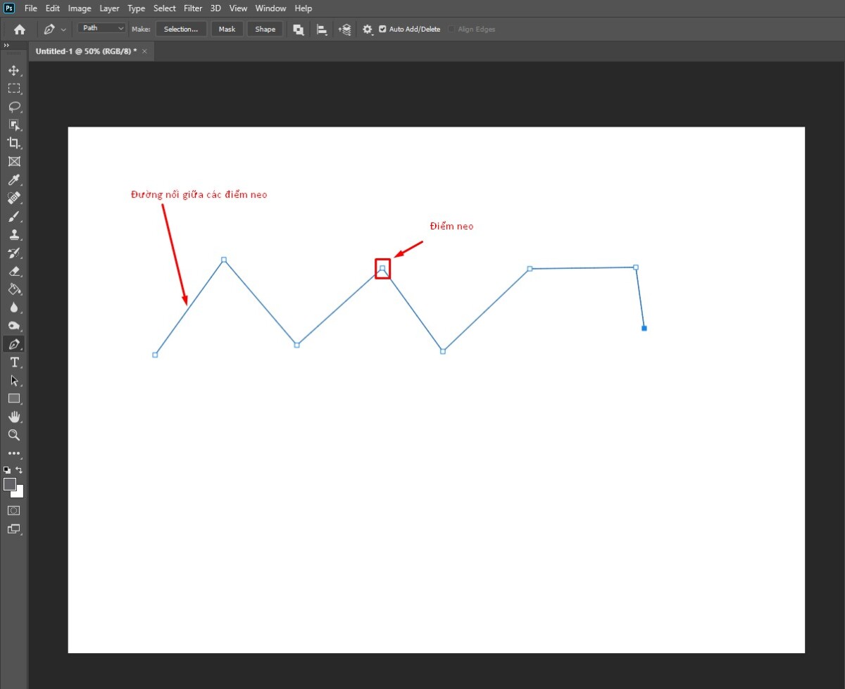 Cách Dùng Pen Tool Trong Photoshop Hiệu Quả 