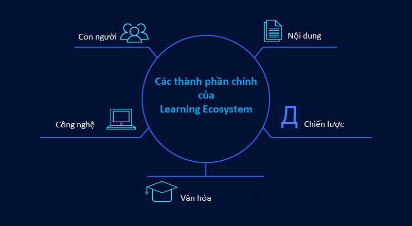 Learning Ecosystem: Thành phần chính và cách xây dựng cho doanh nghiệp