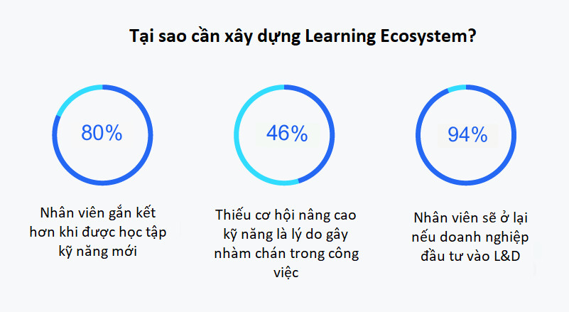 Learning Ecosystem: Thành phần chính và cách xây dựng cho doanh nghiệp