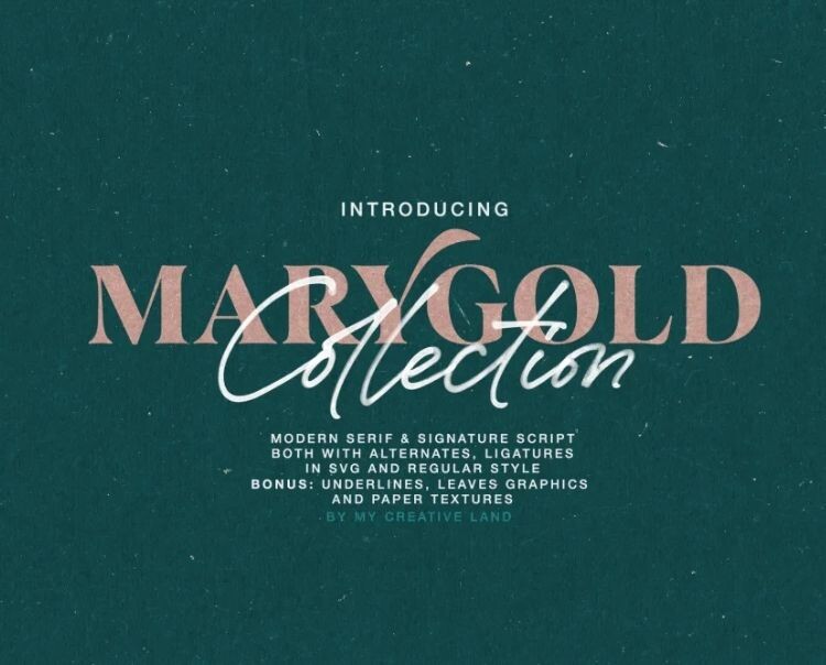 TẢI VỀ 10+ font chữ calligraphy đẹp mê MIỄN PHÍ