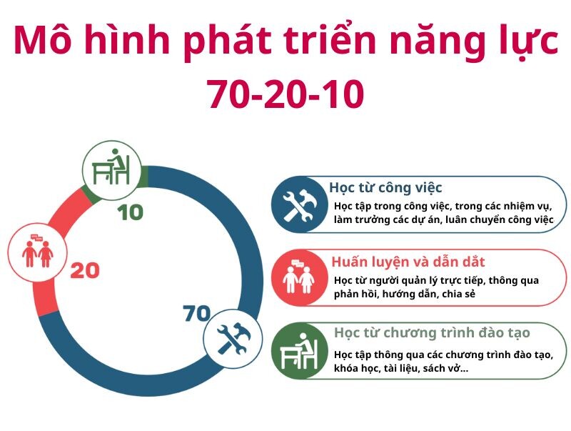 Mô hình 70-20-10: Công thức giúp người học phát triển năng lực toàn diện