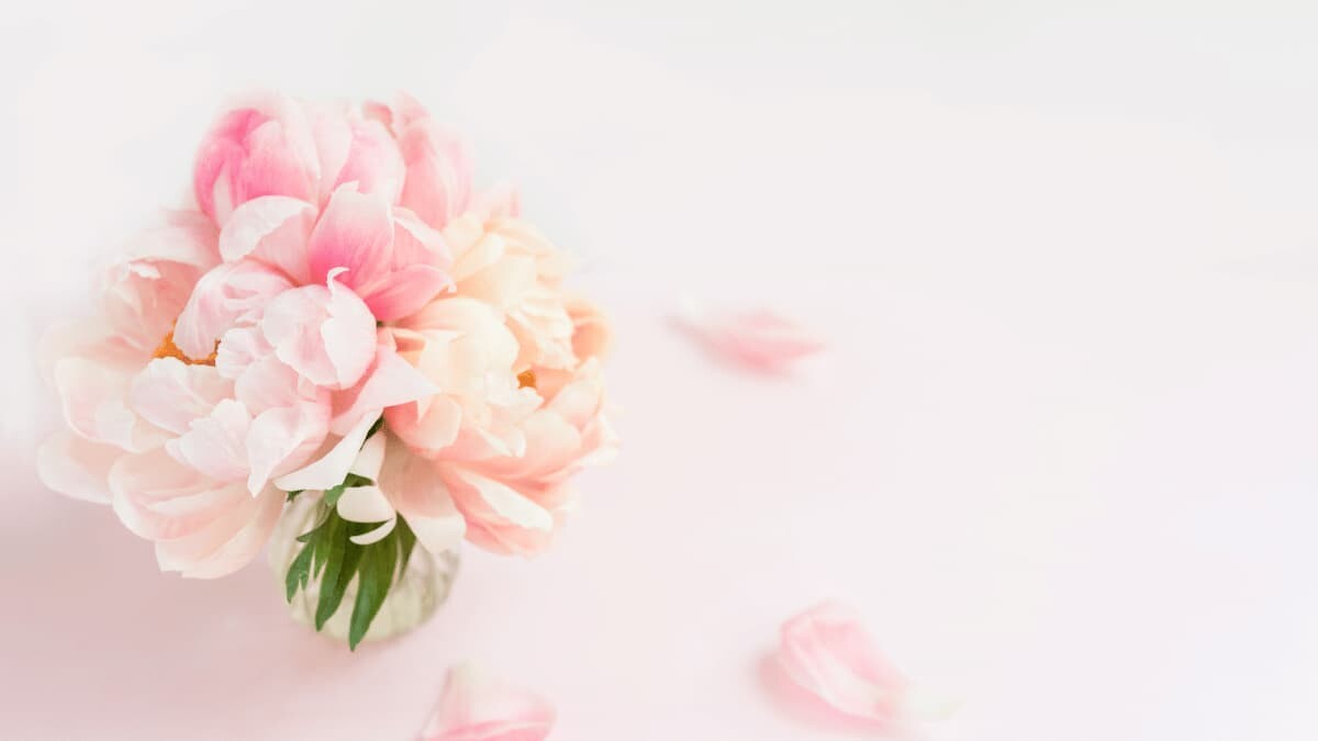 Tải 90+ hình nền Powerpoint hoa độc đáo miễn phí