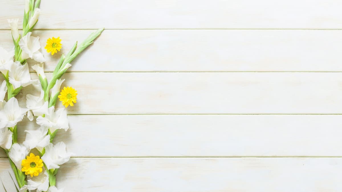 Tải 90+ hình nền Powerpoint hoa độc đáo miễn phí