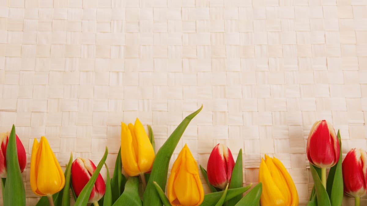 Tải 90+ hình nền Powerpoint hoa độc đáo miễn phí