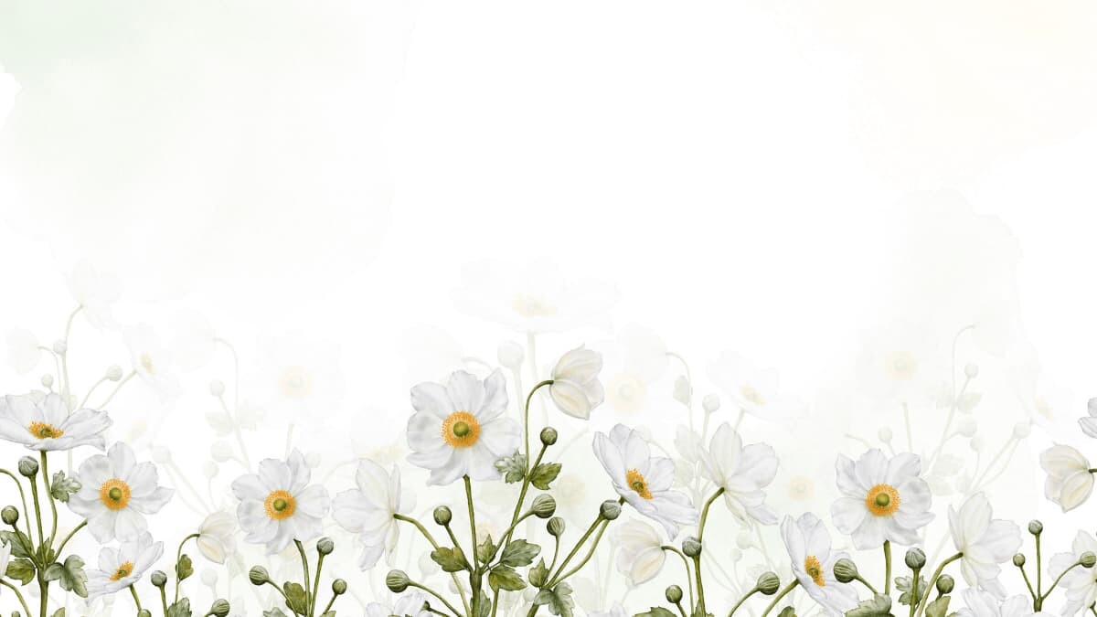 Tải 90+ hình nền Powerpoint hoa độc đáo miễn phí