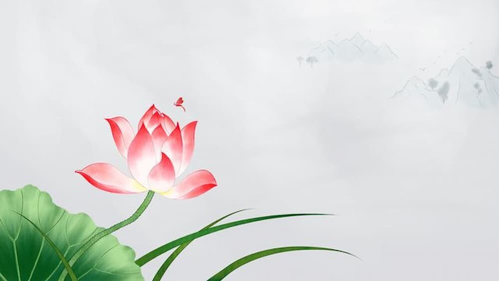 Bộ sưu tập 50 hình nền Powerpoint hoa sen trang nhã đẹp nhất