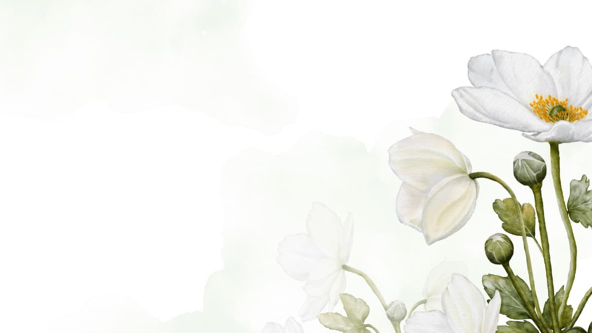 Tải 90+ hình nền Powerpoint hoa độc đáo miễn phí