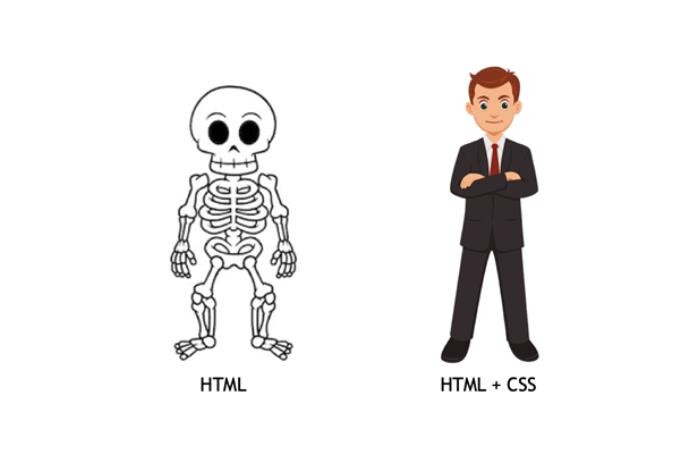Cách lập trình web HTML đơn giản cho người mới bắt đầu