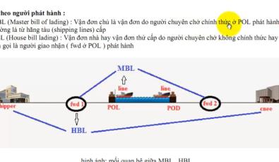 Cách phân biệt vận đơn HBL và MBL trong xuất nhập khẩu