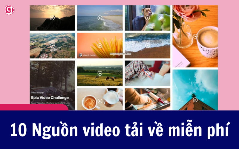 10 nguồn video miễn phí tải về không chứa bản quyền